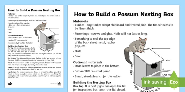 How to Build A Possum Nesting Box (teacher made)
