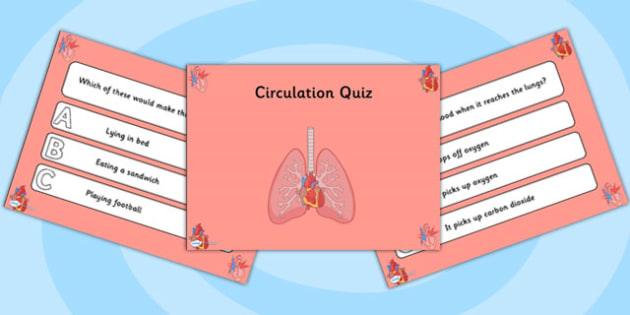 Science Circulation PowerPoint Quiz (teacher made)