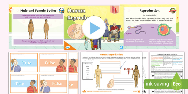 Pshe Lesson Pack • Twinkl.ca