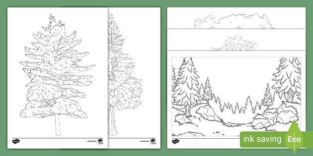 Tree Mindfulness Colouring (teacher made)