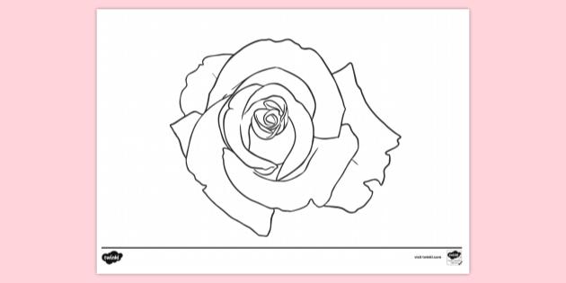 FREE! - A Colouring Page of a Rose | Colouring Sheets