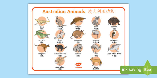Australian Animals Word Mat - English/Mandarin Chinese
