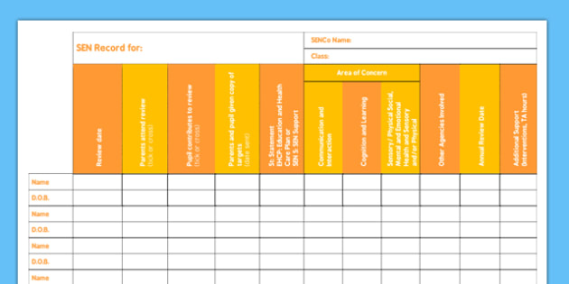 Class SEN Record (teacher made)