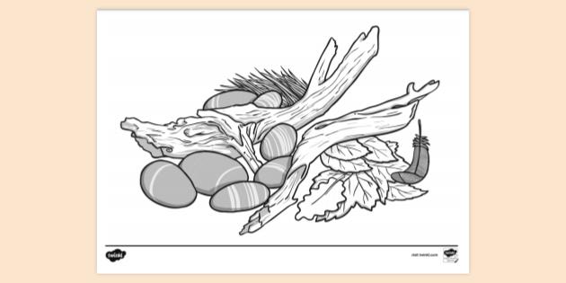 FREE! - Natural Materials Colouring | Colouring Sheets