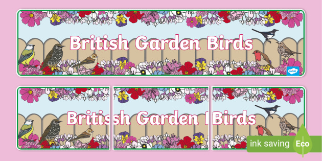 British Garden Birds Display Banner