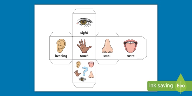 My Senses Dice (teacher made)