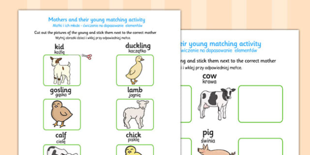 Mothers and their Young Farm Animals Matching Activity Polish Translation