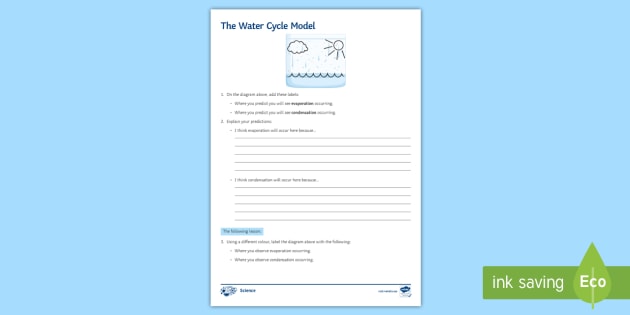 Water Cycle Model Worksheet
