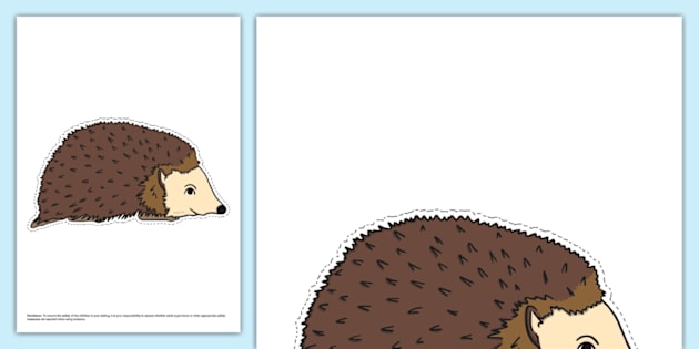 Hedgehog Displays | twinkl.com.au