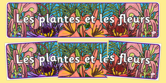 Les plantes et les fleurs (teacher made)