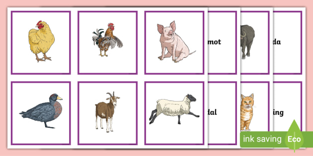 Animals Matching Cards Indonesian (teacher made)