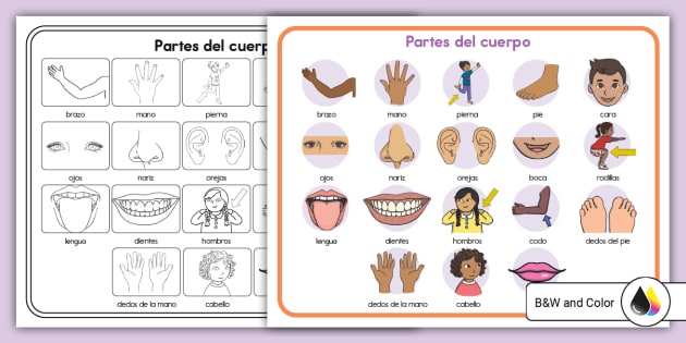 Body Parts Activities | twinkl.com