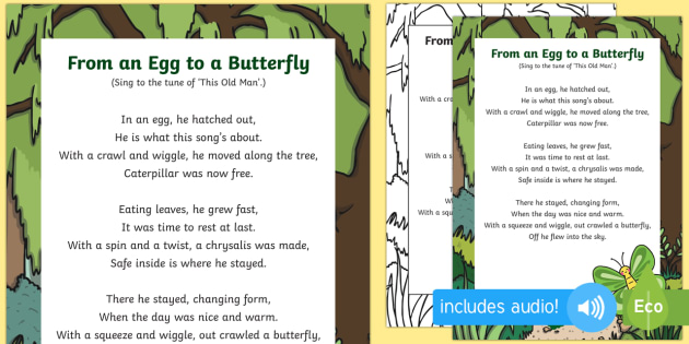 From an Egg to a Butterfly Song (teacher made)