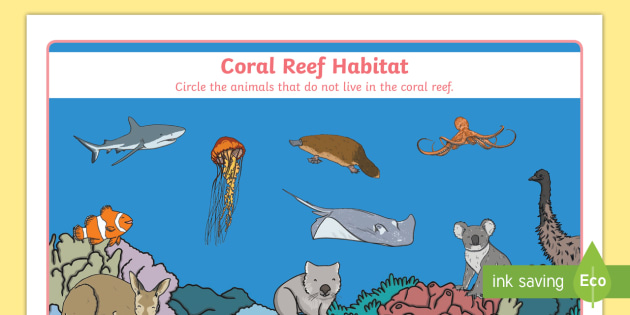 What's Wrong with the Coral Reef Habitat? Worksheet