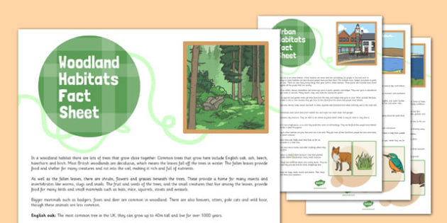 British Habitats KS1 Fact Sheets (teacher made)
