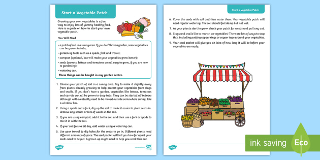 Start a Vegetable Patch Activity