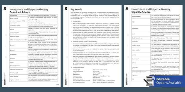 GCSE Biology Glossary | Homeostasis and Response | Beyond