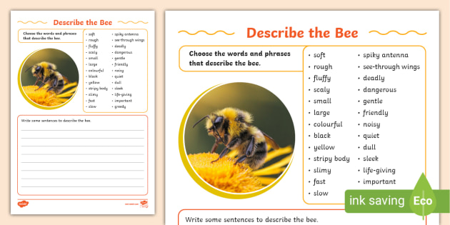 Describe the Bee Writing Activity Sheet (teacher made)