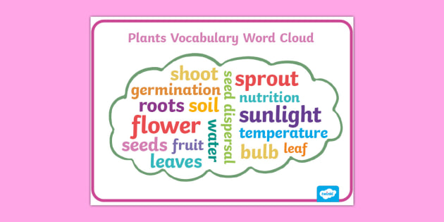 Year 2 Plants Vocabulary Word Cloud (teacher made)