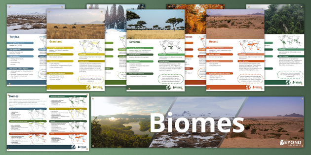 Biomes Display Pack (teacher made)