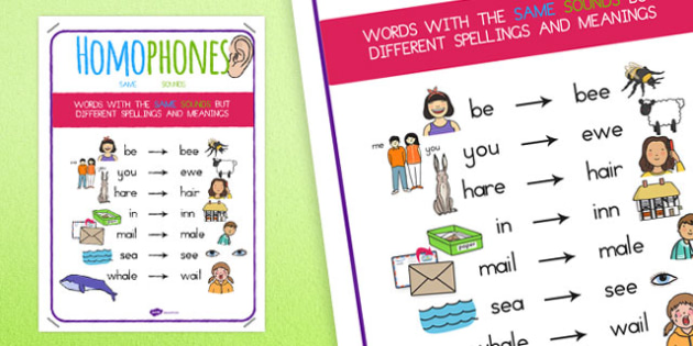 Large Homophone Display Poster