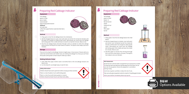 Preparing Red Cabbage Indicator | KS3 Science | Beyond