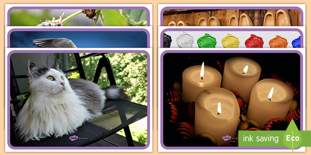 Number and Object Photos Display Posters (teacher made)