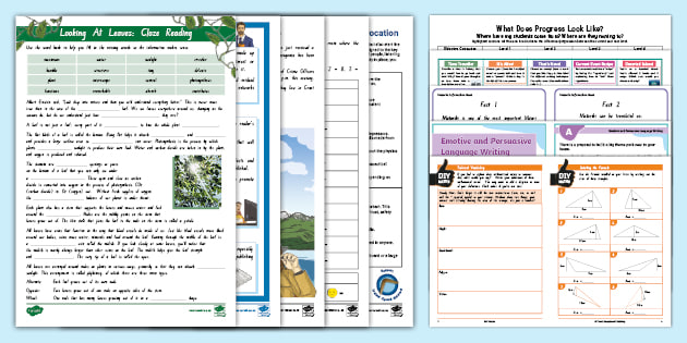 New Zealand Resources Years 7-8 Teaching Resources - NZ