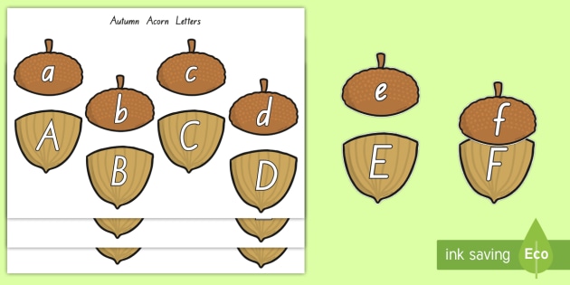 Acorn Letters Matching Cards (teacher made)