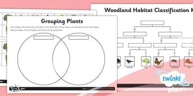 Science: Living Things and Their Habitats Year 4 Home Learning Tasks