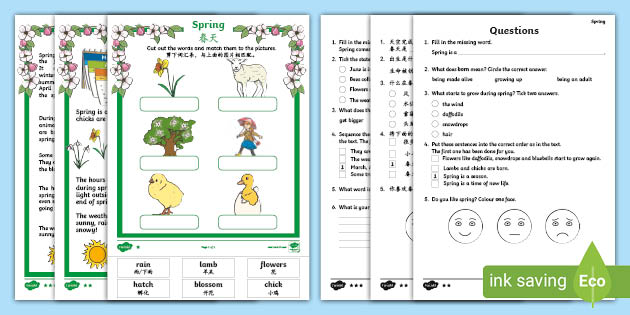 Let's Find Out About Spring Differentiated Reading Comprehension