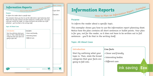 Level 2 Writing - Information Report Planning Sheet Exemplar