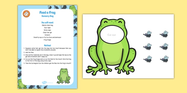 Feed a Frog Sensory Bag (teacher made)