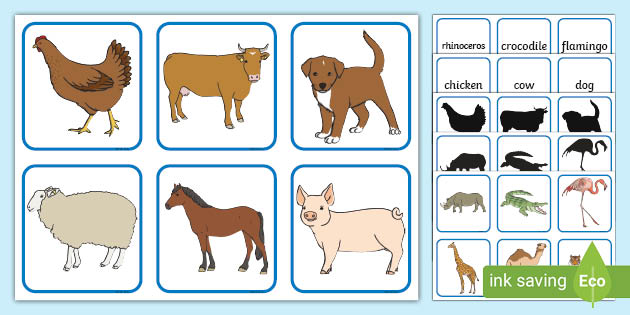 Animal-Themed Shadow Matching Cards (teacher made)