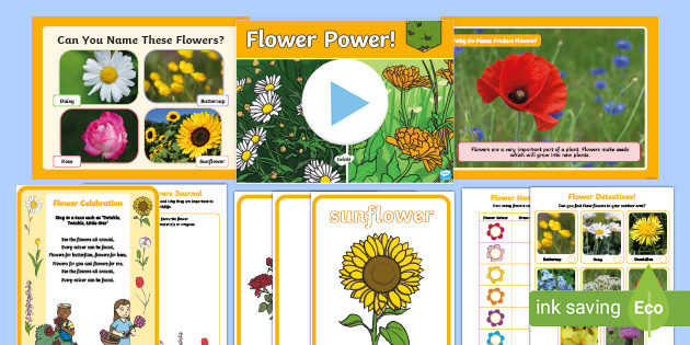 Outdoor Explorers KS1 Summer Lesson 3 Flower Power!