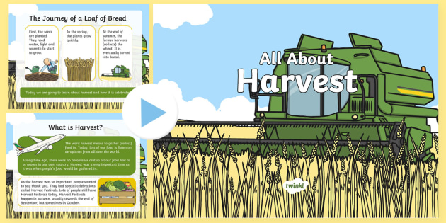 All About Harvest PowerPoint (teacher made)