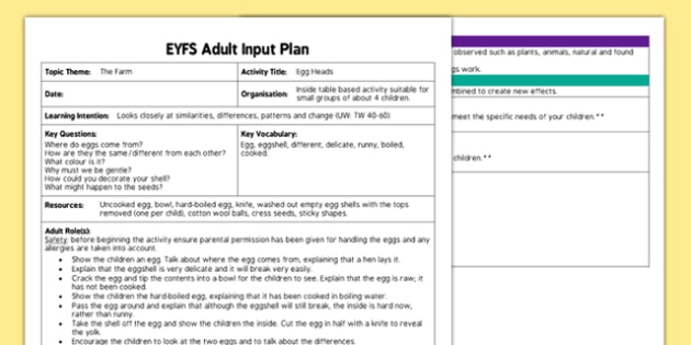 Egg Heads EYFS Adult Input Plan
