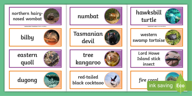 Endangered Australian Animals Word Cards (teacher made)