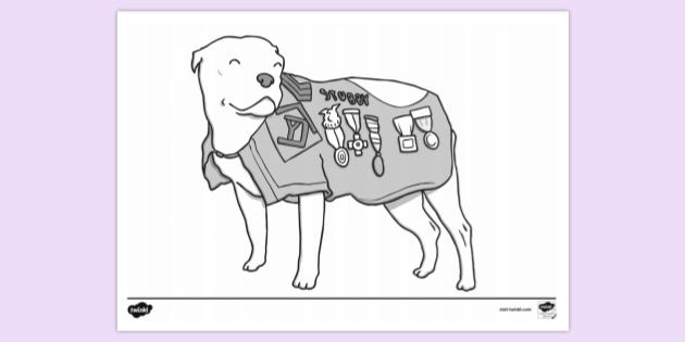 FREE! - Sergeant Stubby Colouring Sheet | Colouring Sheets
