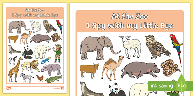 At the Zoo Themed I Spy With My Little Eye Activity - australia