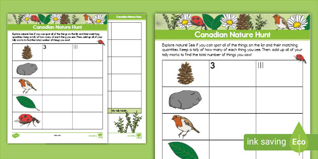 Canadian Nature Hunt Activity - K-2 (teacher made)
