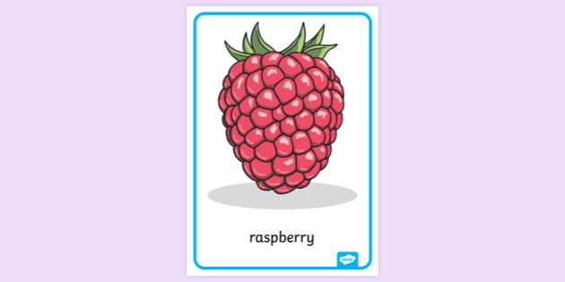 FREE! - Raspberry Poster | Display Poster | Fruit | Twinkl
