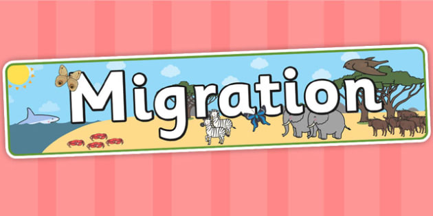 Migration Display Banner
