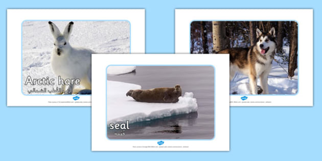 Science Classroom Setup • Twinkl.com.au