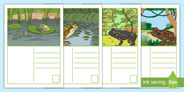 FREE! - Frog Postcards (teacher made)