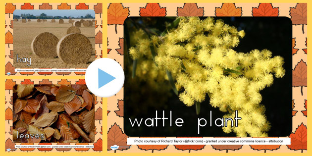 Autumn Photo PowerPoint (teacher made)