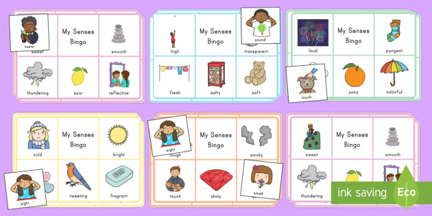 My Senses Bingo (teacher made)