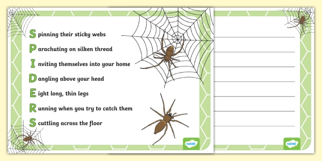 Spiders Templates | twinkl.com.au