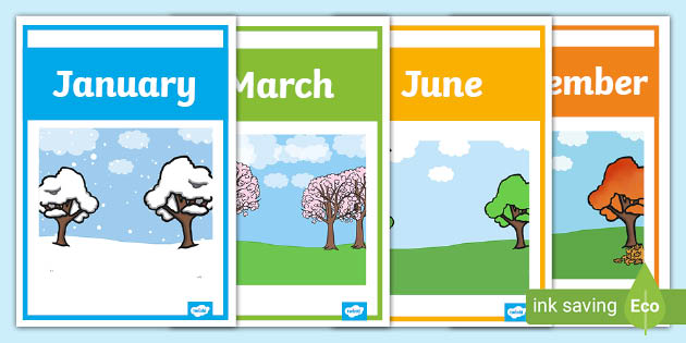 Months of the Year Weather Posters (teacher made)