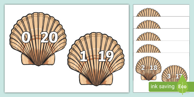 New Zealand Under the Sea Shell Number Bonds to 20